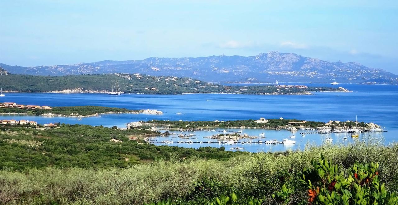 Colonna Beach Hotel, find out what you can see in the Gulf of Marinella