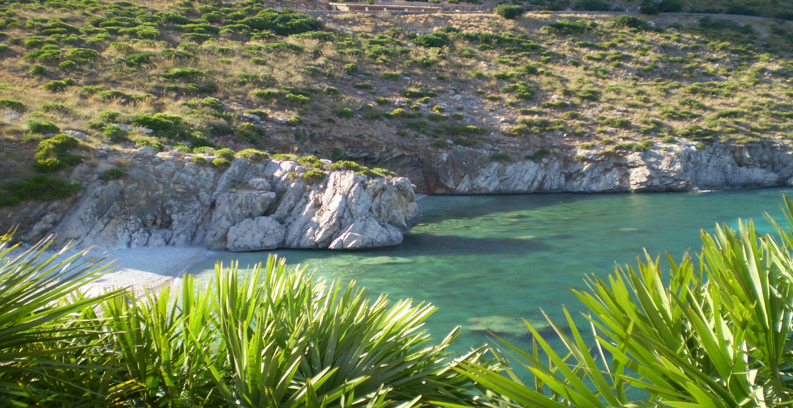 Alla Scoperta della Riserva dello Zingaro - Araja Villa & Suite