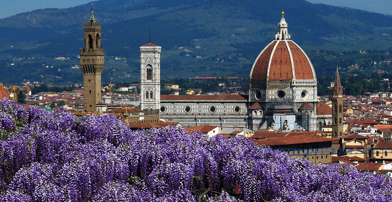 Firenze Flower Show 2025: la mostra mercato di piante rare | FH55 Hotels